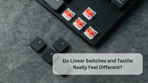 Do Linear Switches and Tactile Really Feel Different? – Keychron Australia