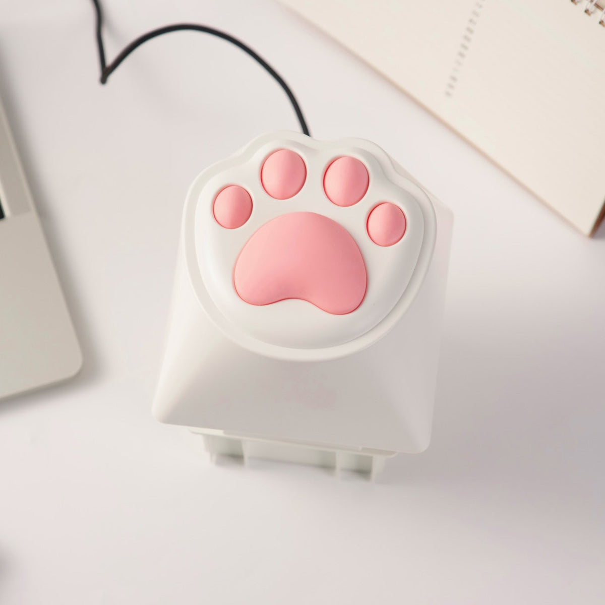 How to Disassemble the Keychron Big Kitty Paw Key and Find the Reset B ...