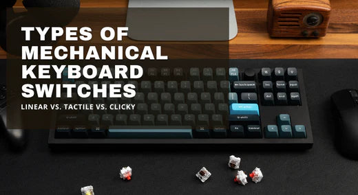 Types of Keyboard Switches: Linear vs Tactile vs Clicky – Keychron ...