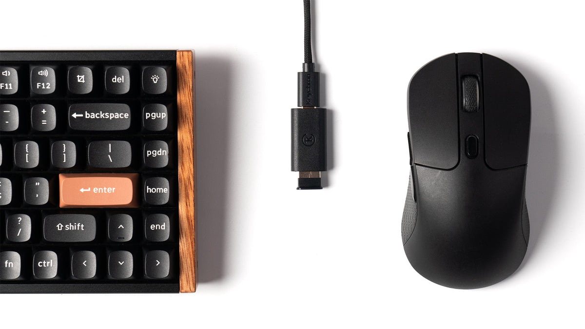 Wired Performance, Wireless Freedom: The 2.4 GHz Receiver Extender Tri ...